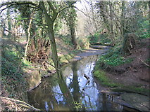 Rea Valley Route - Ramblers
