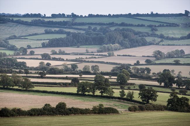 Alderminster, Warwickshire - Ramblers