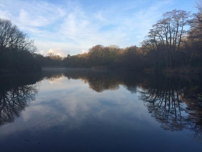 Pontyclun - Talygarn Lake loop - Ramblers