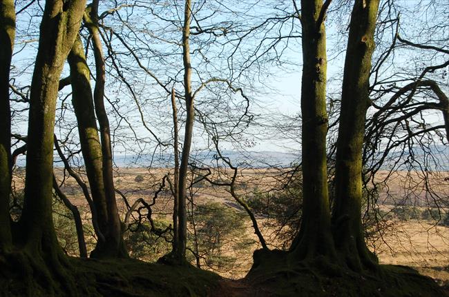 Colaton Raleigh Common Circular - Ramblers