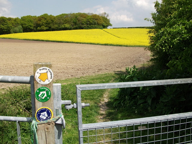Hartshill Hayes & The Coventry Canal. Warwickshire - Ramblers