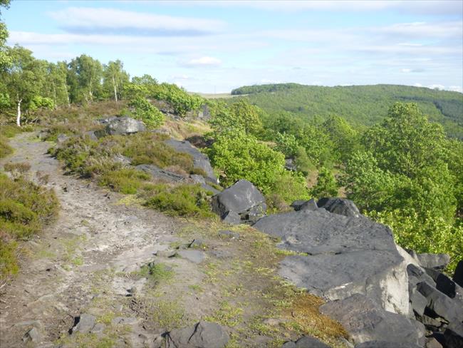 The Crags, Woodlands, Moors and Heritage of the Upper Don Valley - Ramblers