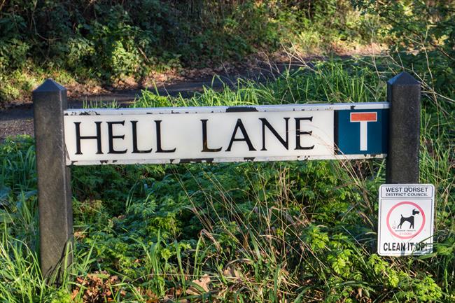 Colmer's Hill and Hell Lane, Dorset - Ramblers