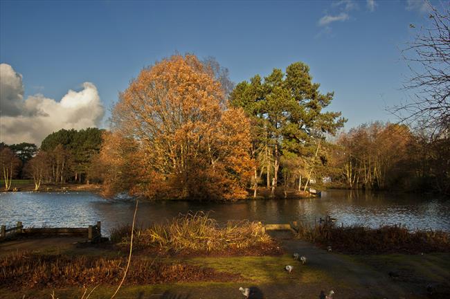 Allerton Country Walk, Liverpool - Ramblers
