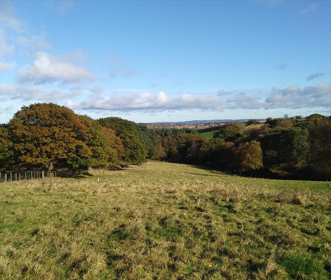 Satley and Hedley Hope Fell Co Durham - Ramblers