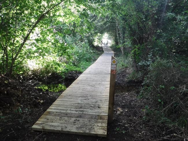 East Tuddenham Circular, Norfolk - Ramblers