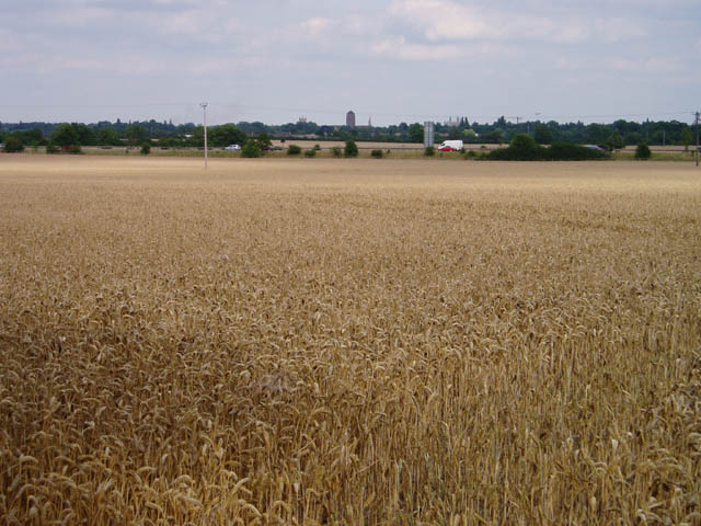 A circular walk from Coton, Cambridgeshire - Ramblers