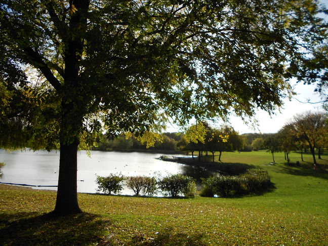 Kent, Swanley: Swanley Park and Heritage Centre, Hextable - Ramblers