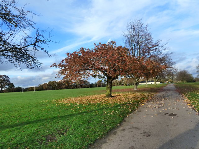 Routes www.ramblersroutes.org