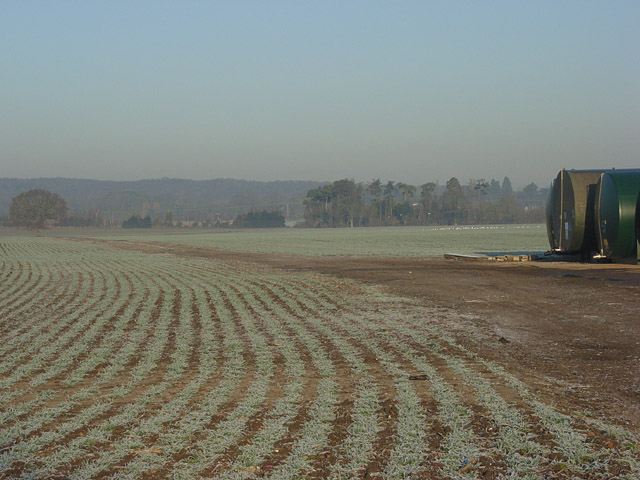 The Wokingham Way 3 - Knowl Hill to Shurlock Row - Ramblers